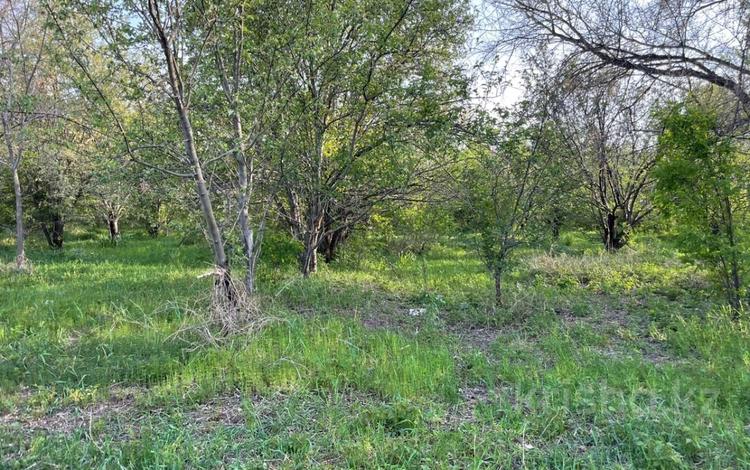 Продажа участка 12 соток - №687838045: Мкр Акжар — ПКСТ Алтын Алма ...